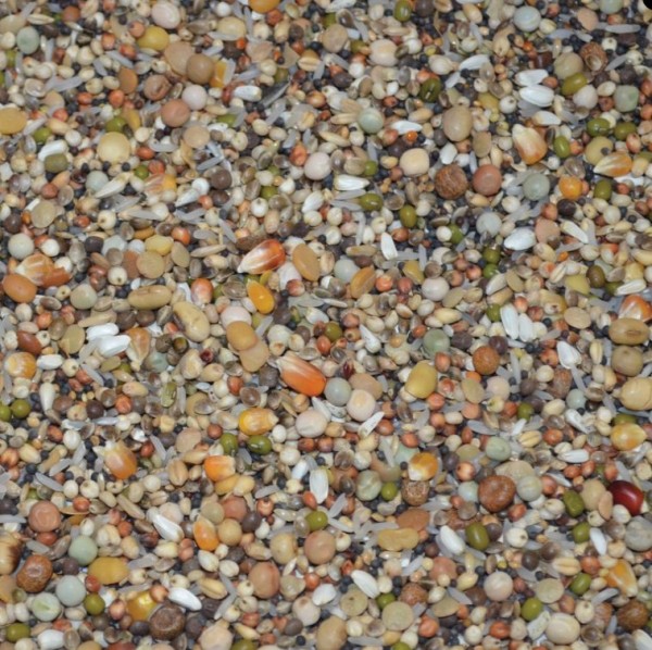 Vanrobaeys Premium Power Zucht Nr. 182 | Vanrobaeys | Taubenfutter ...