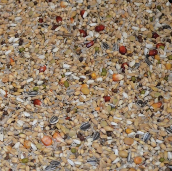 Vanrobaeys Premium Power Relax Nr. 183 | Vanrobaeys | Taubenfutter ...